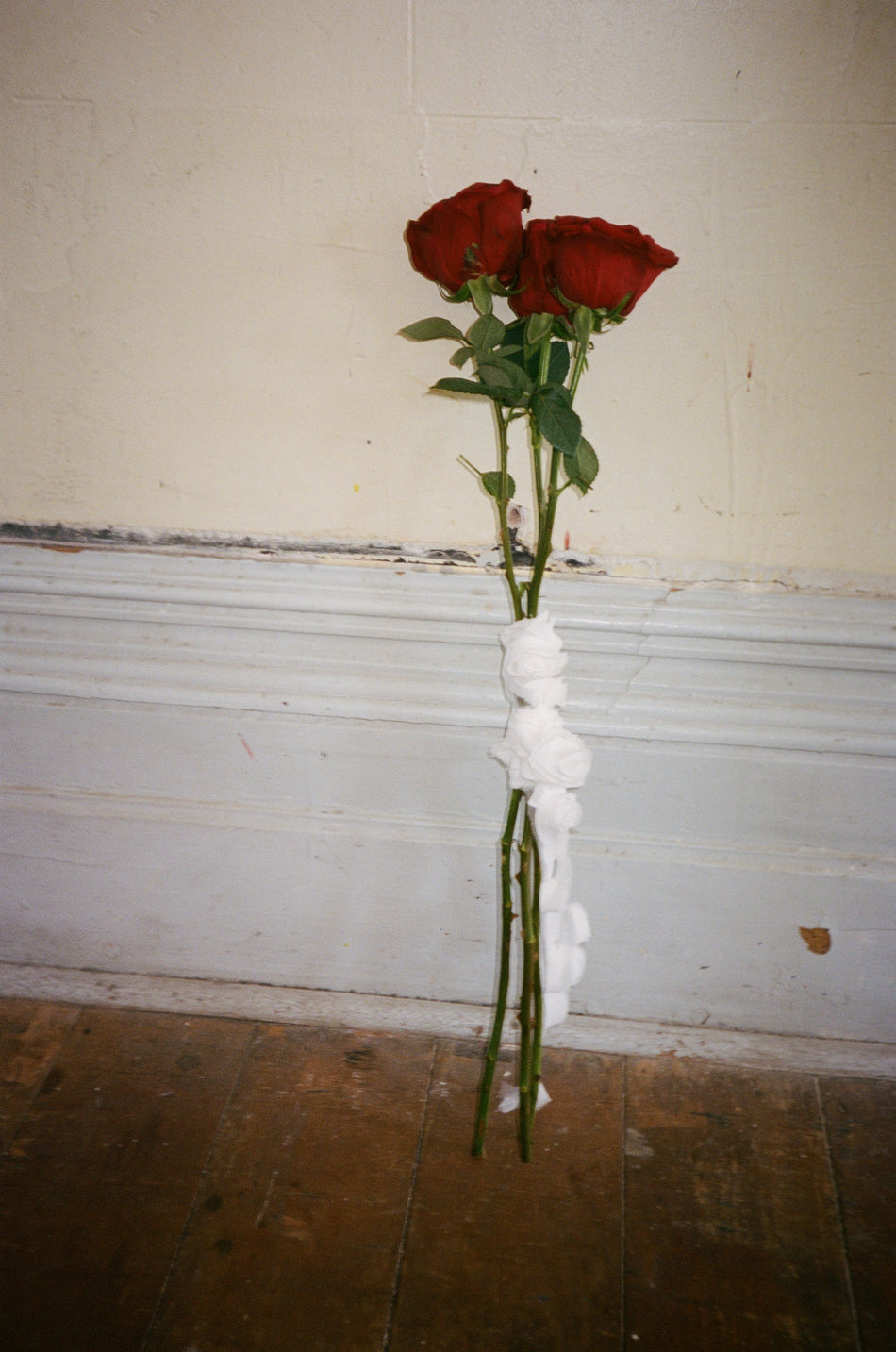 Our Inclusivity Policy - honeymoonstudios